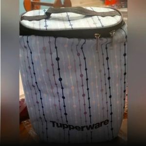 Tupperware | Bags | Tupperware Logo Insulated Bottle Tote Bag Lunchbox ...